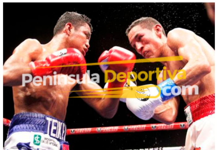 Estas son las opciones para ver la pelea del "Choco" y el "Gallo"